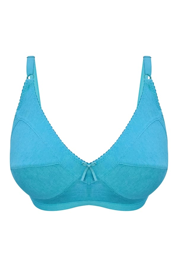 Buy Non-Padded Non-Wired Printed Full Figure Bra in Light Blue- Cotton ...